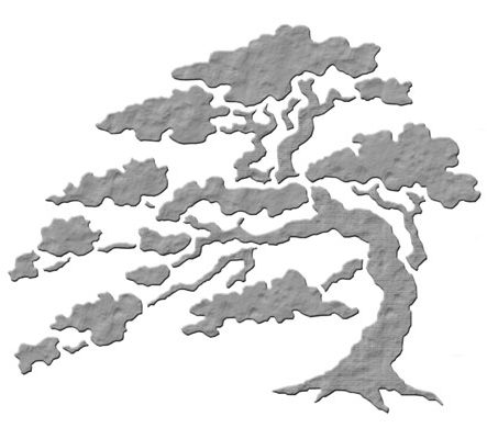 Wilson wealth management